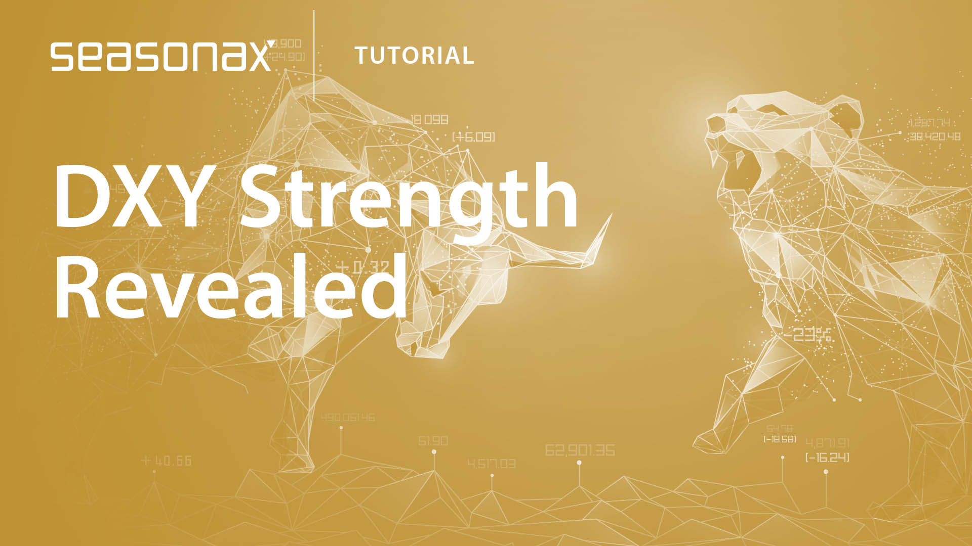 Seasonax Tutorial: DXY Strength Revealed - seasonax